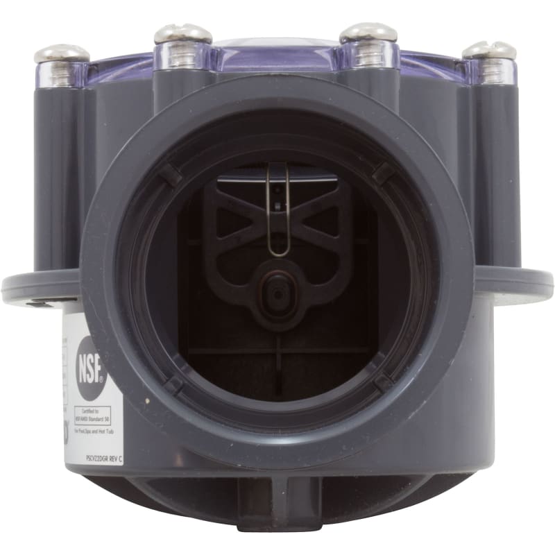 2"x 2.5" Straight PVC PSV Check Valve