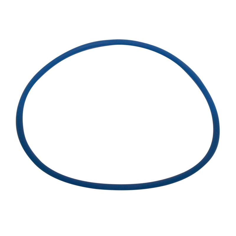 Abyss Debris Canister O-ring