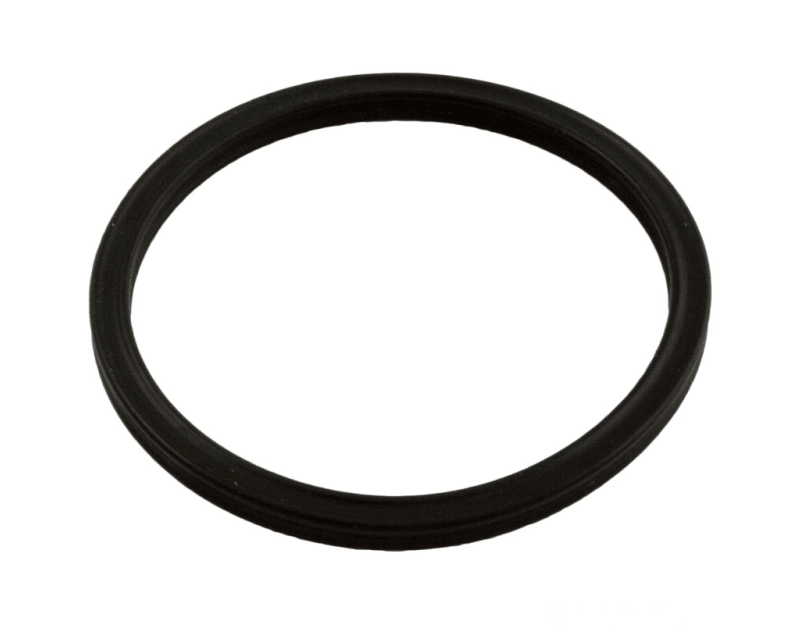 Pentair Challenger/SuperFlo Diffuser O-Ring - 355030