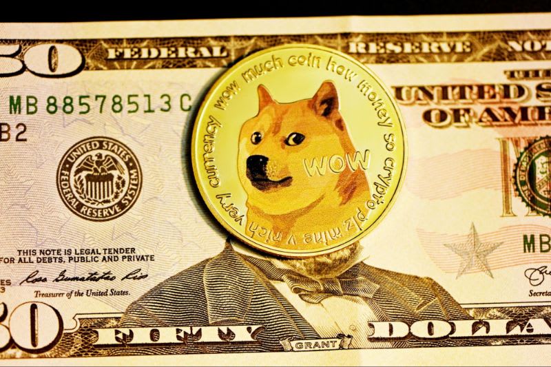 Dogecoin: O que É, Como Comprar e Como Investir? (2022)