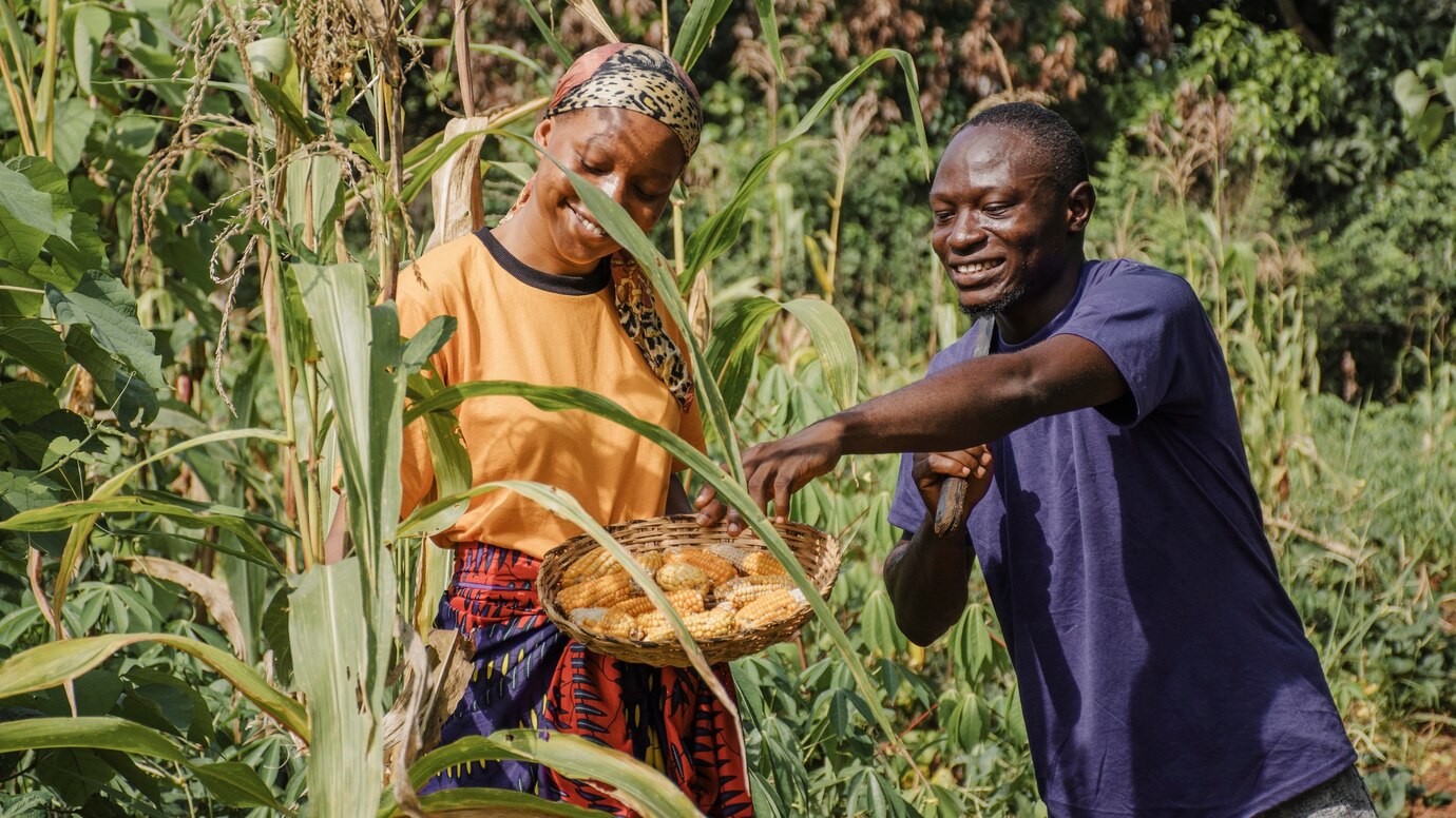 Contact AFR • African Food Revolution