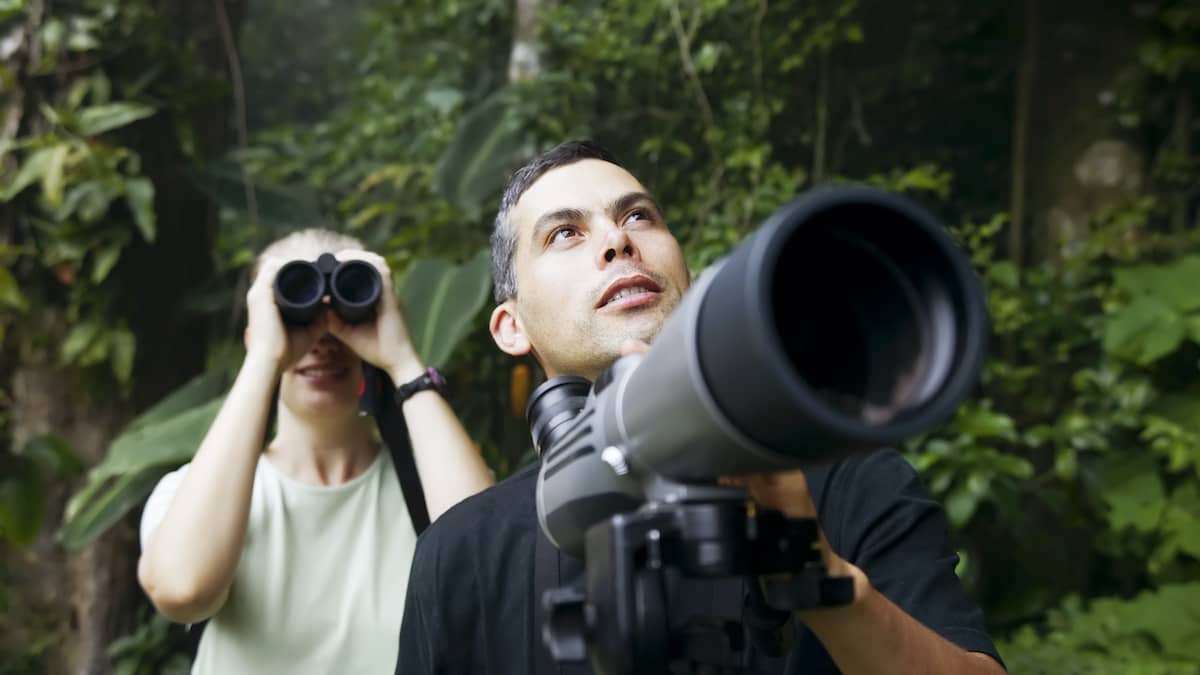 An Expert’s Guide to the Best Gosky Monoculars | Freebirders