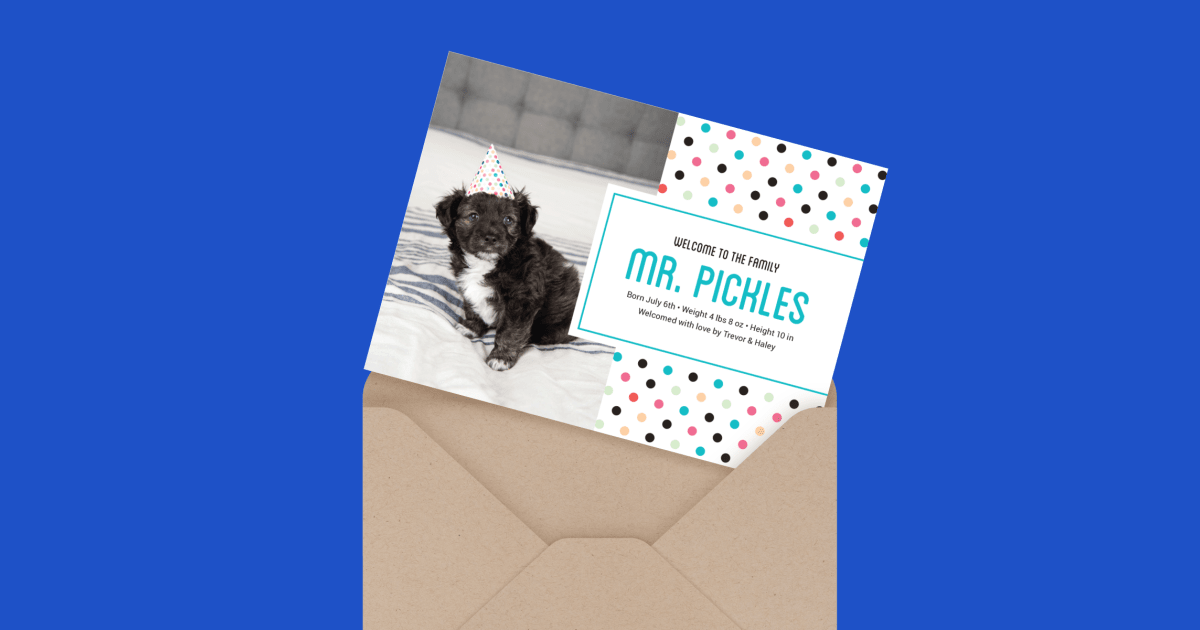 Polka Dot Pet Announcement by Postable | Postable