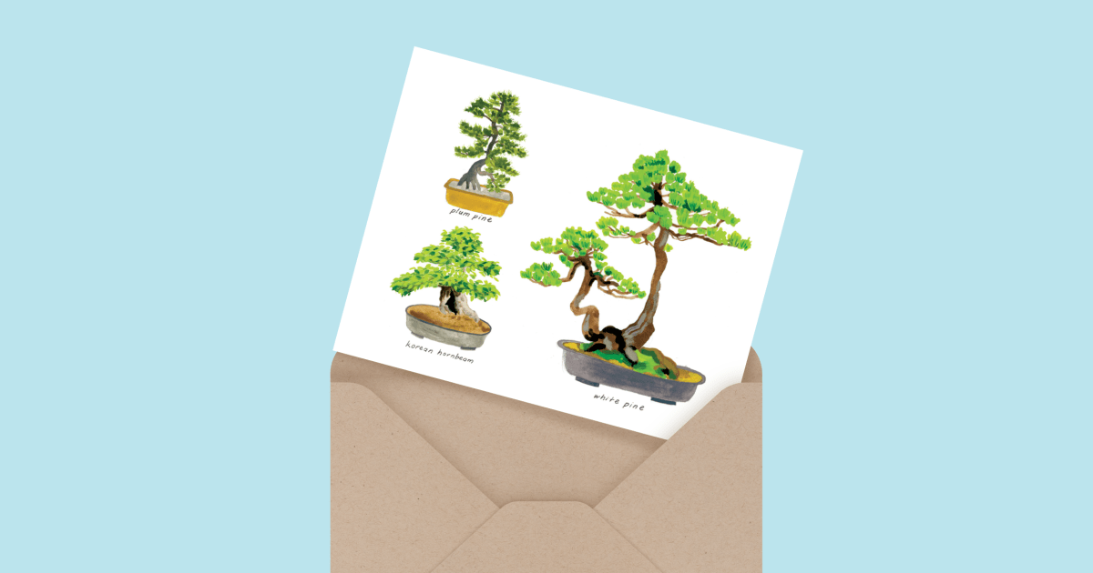 Cute Bonsai by Small Adventure | Postable