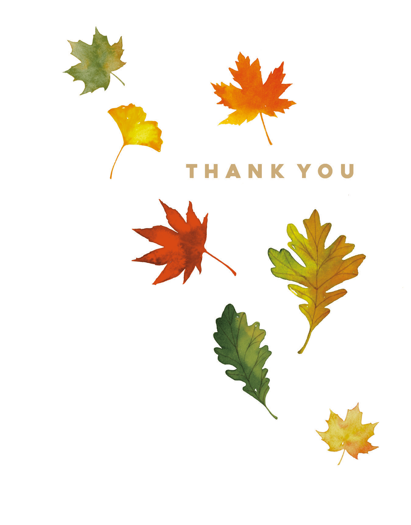 Fall Leaves Thank You by Abigail Jayne | Postable