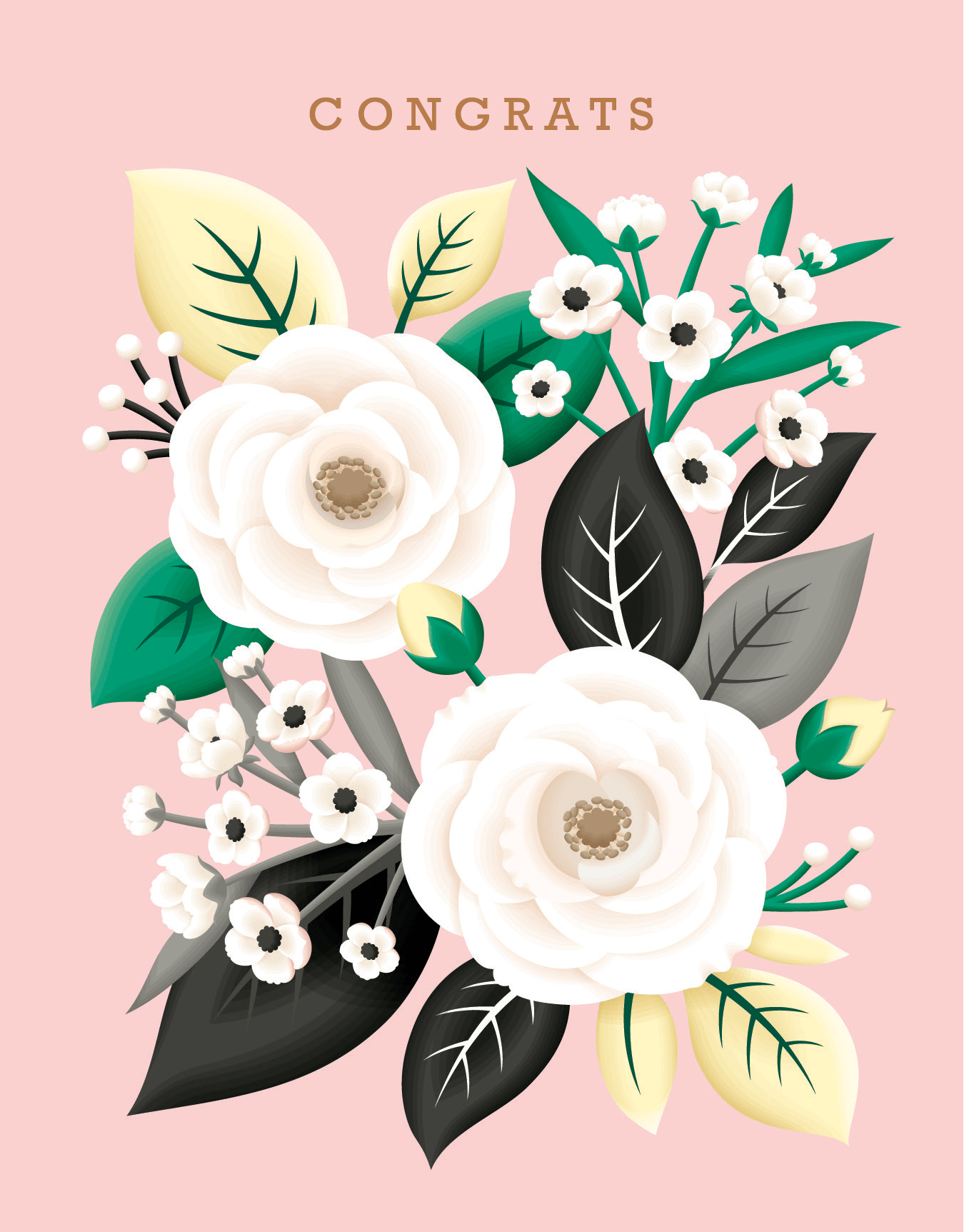 Pink Congrats by Clap Clap | Postable