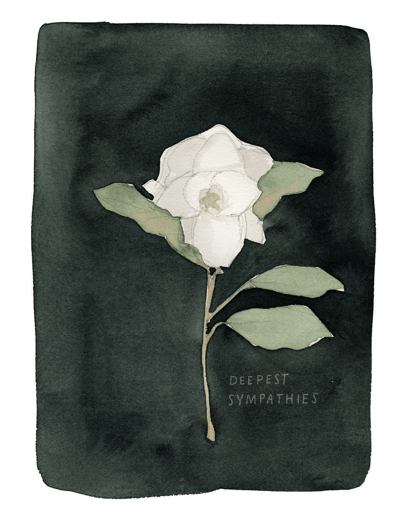 White Flower by E. Frances Paper | Postable