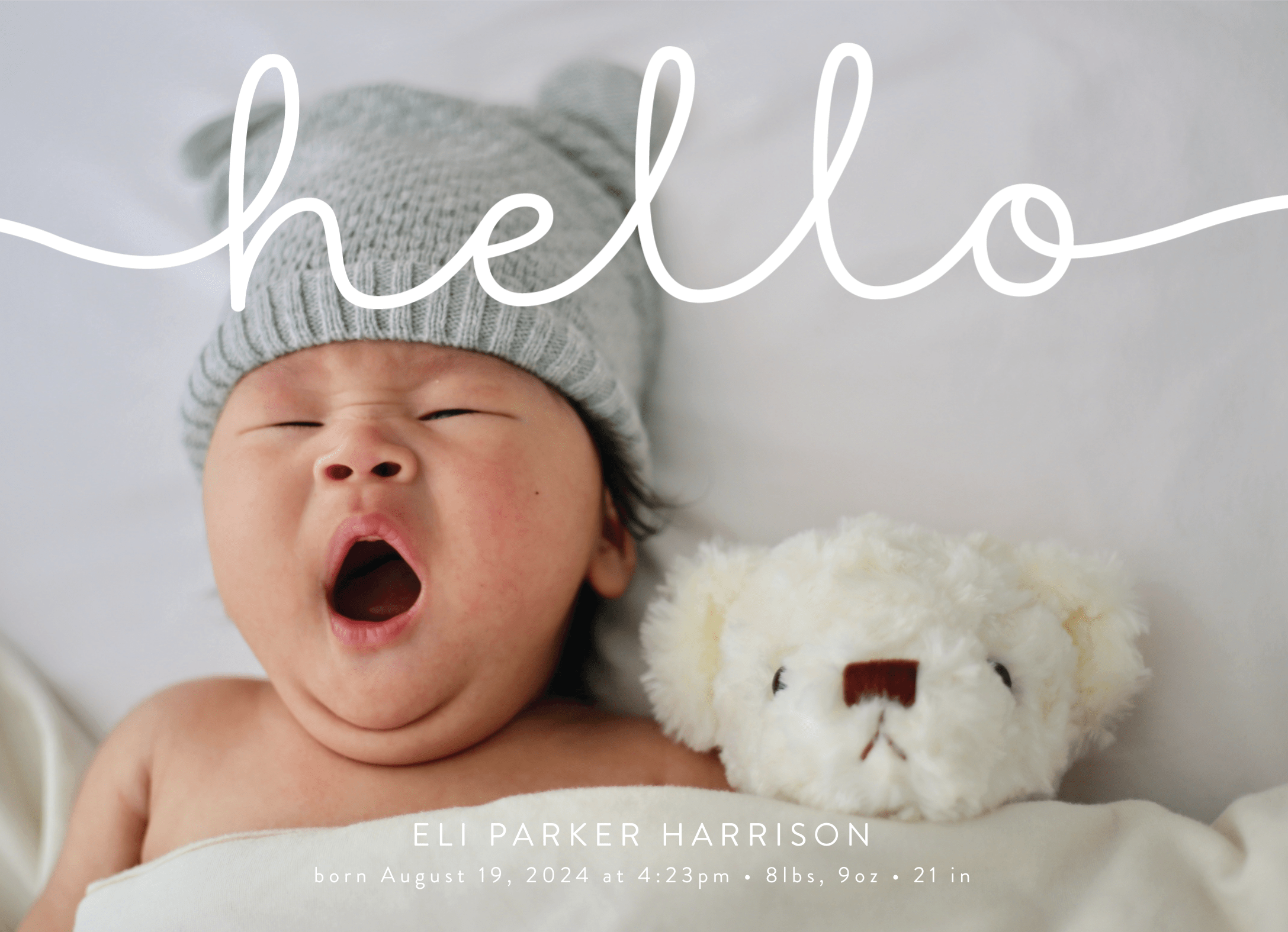 Hello Landscape by Erika Firm | Postable