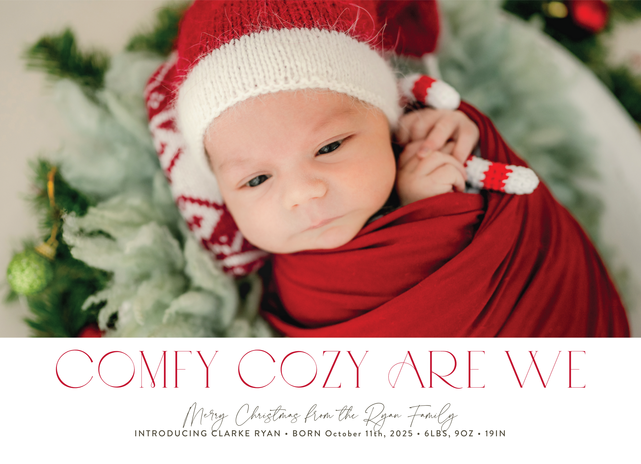 Comfy Cozy Are We by Erika Firm | Postable