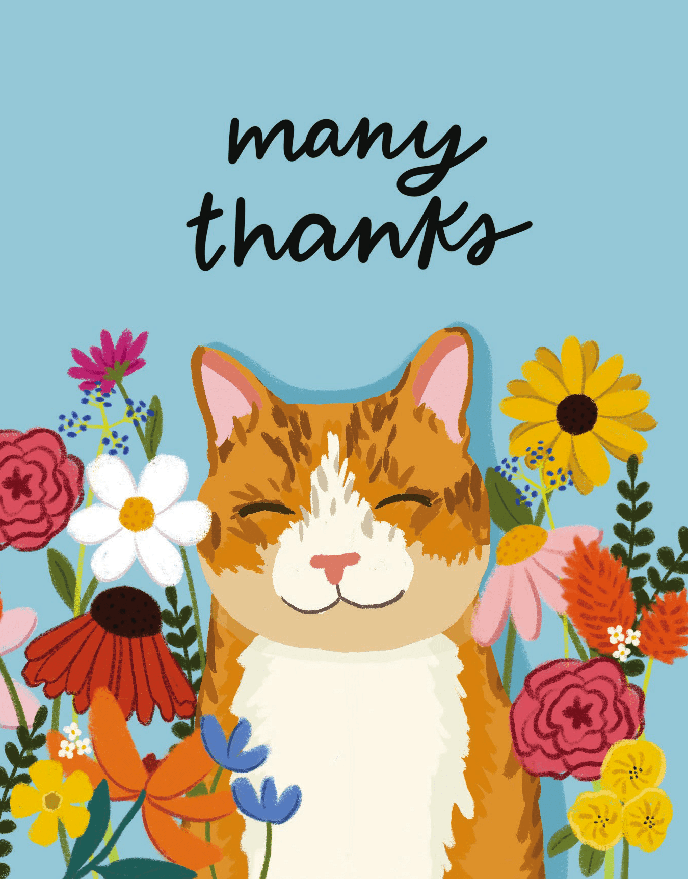Cat Thanks by Grey Street Paper | Postable