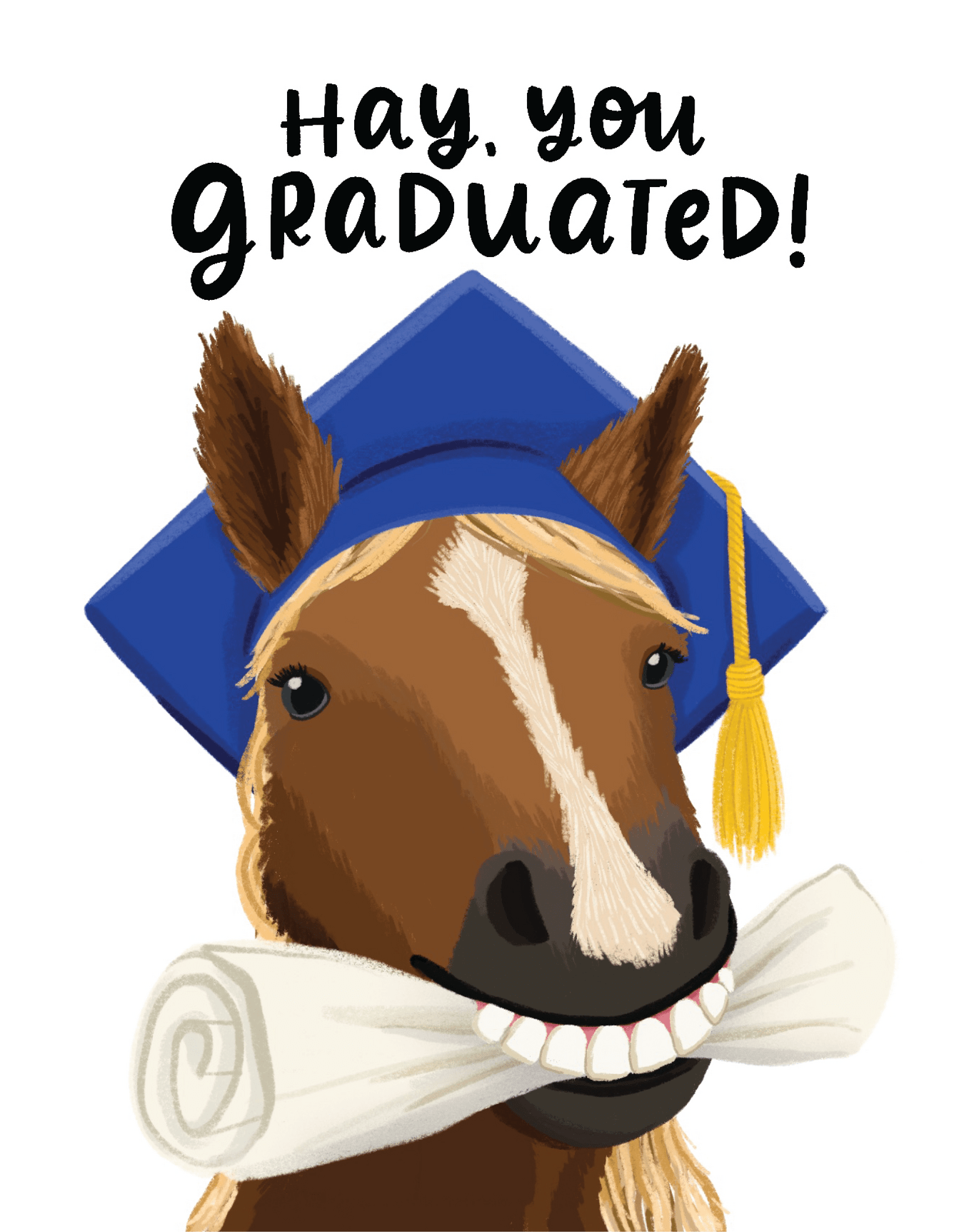 Horse Grad by Grey Street Paper | Postable
