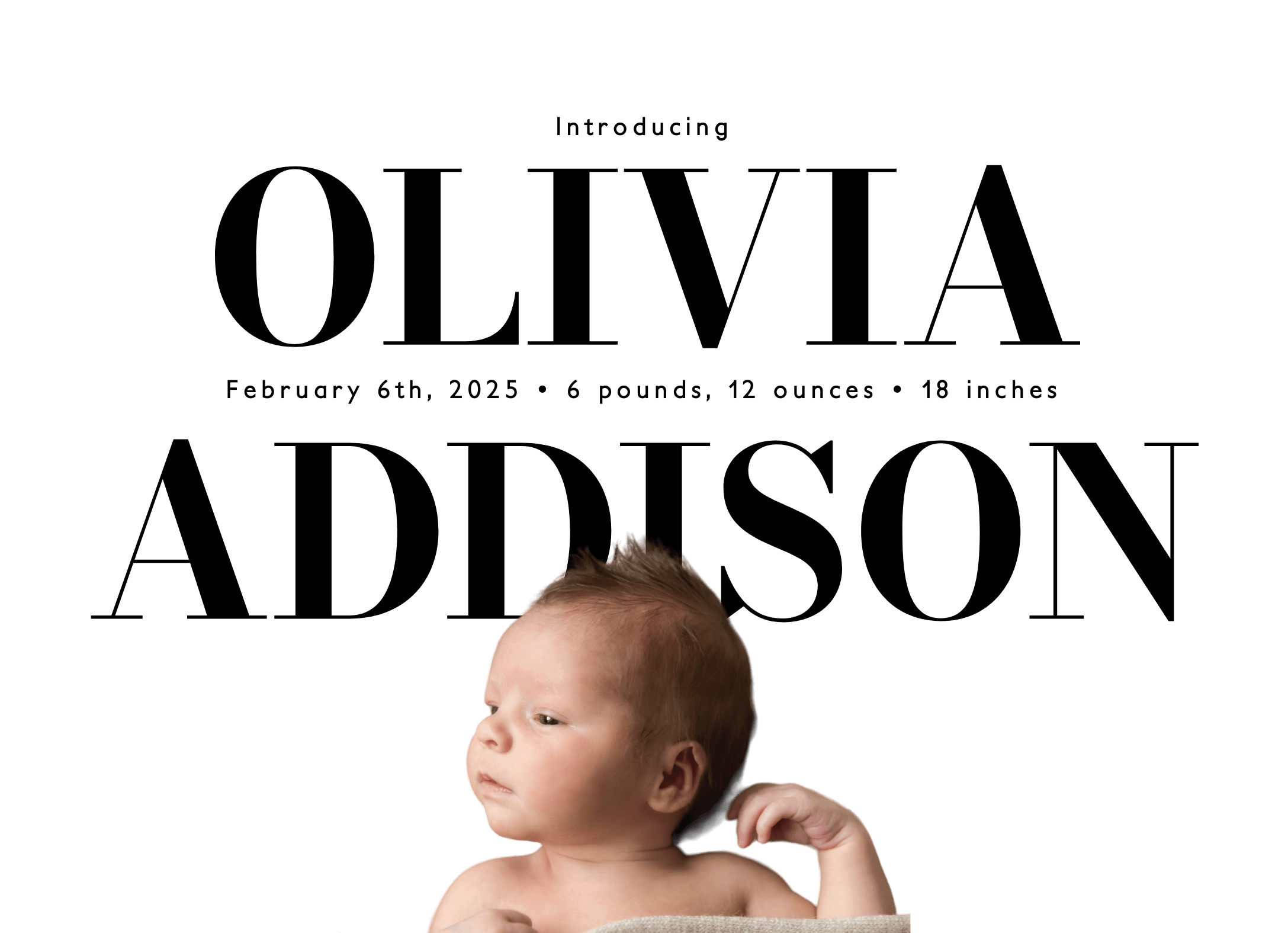 Front Row by Hello Paper Co. | Postable