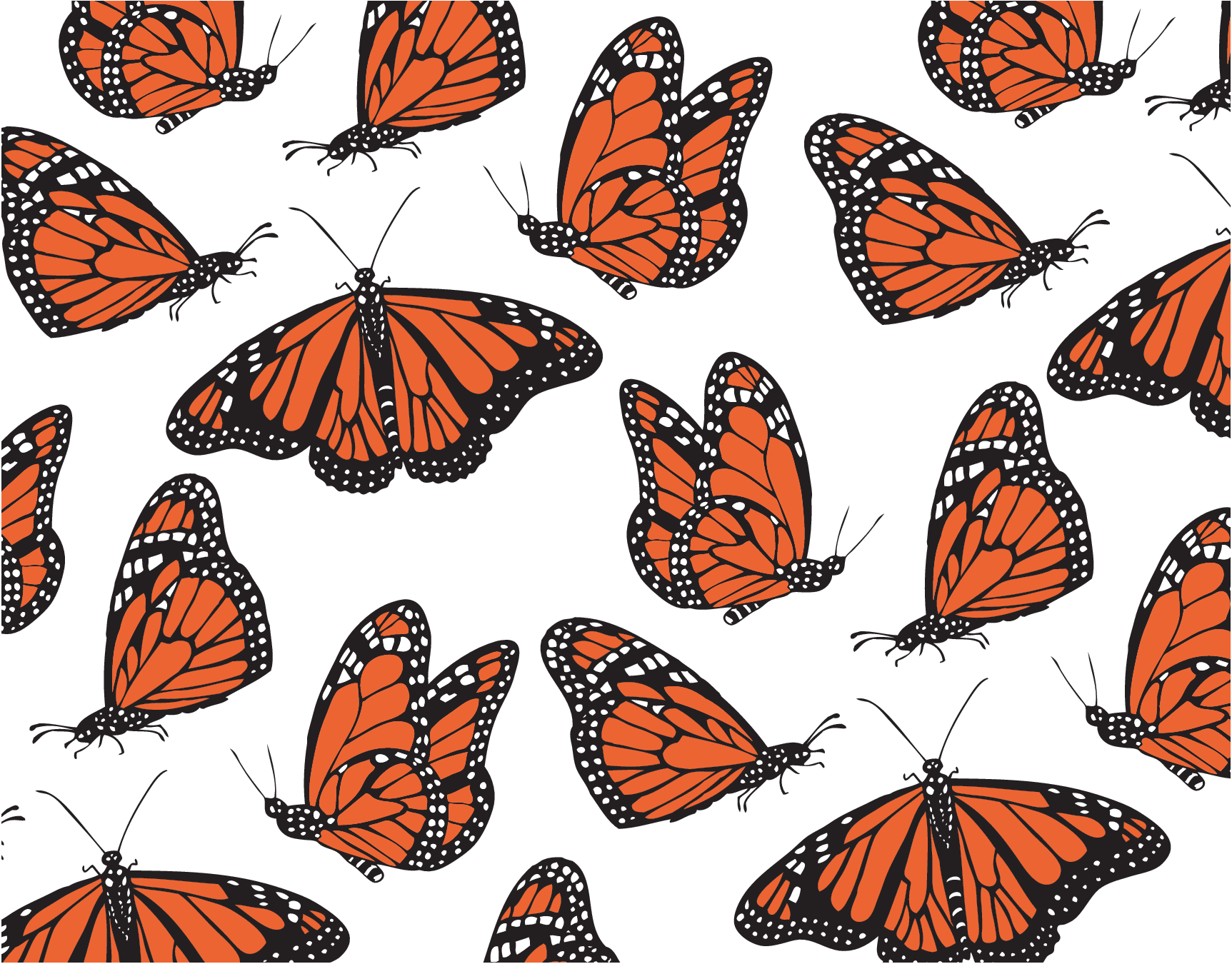 Monarch Butterflies by Noteworthy Paper & Press | Postable