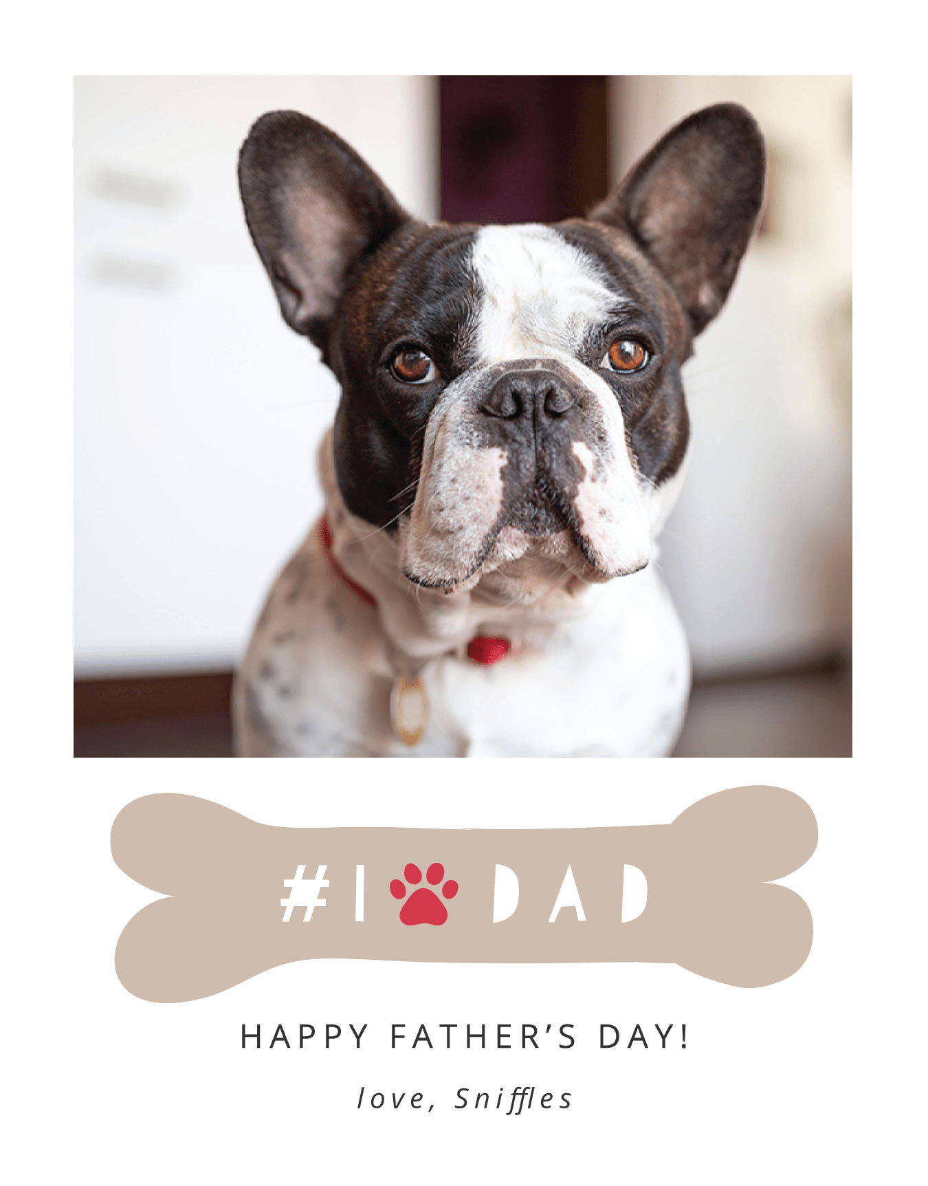 Dog Dad by Postable | Postable