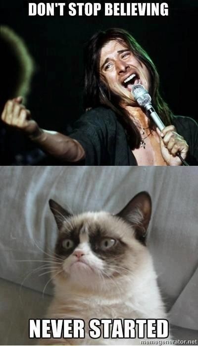 12 veces en que nos identificamos con "Grumpy Cat" - Mascotadictos