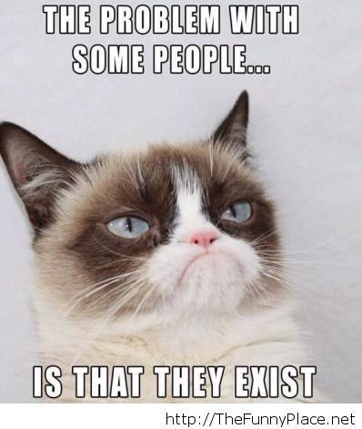 12 veces en que nos identificamos con "Grumpy Cat" - Mascotadictos