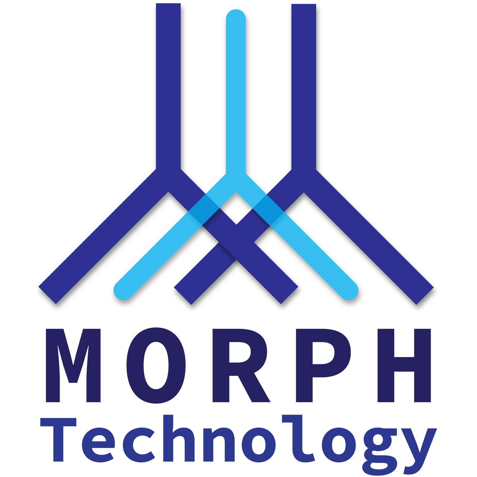 morph | Public APIs | Postman API Network