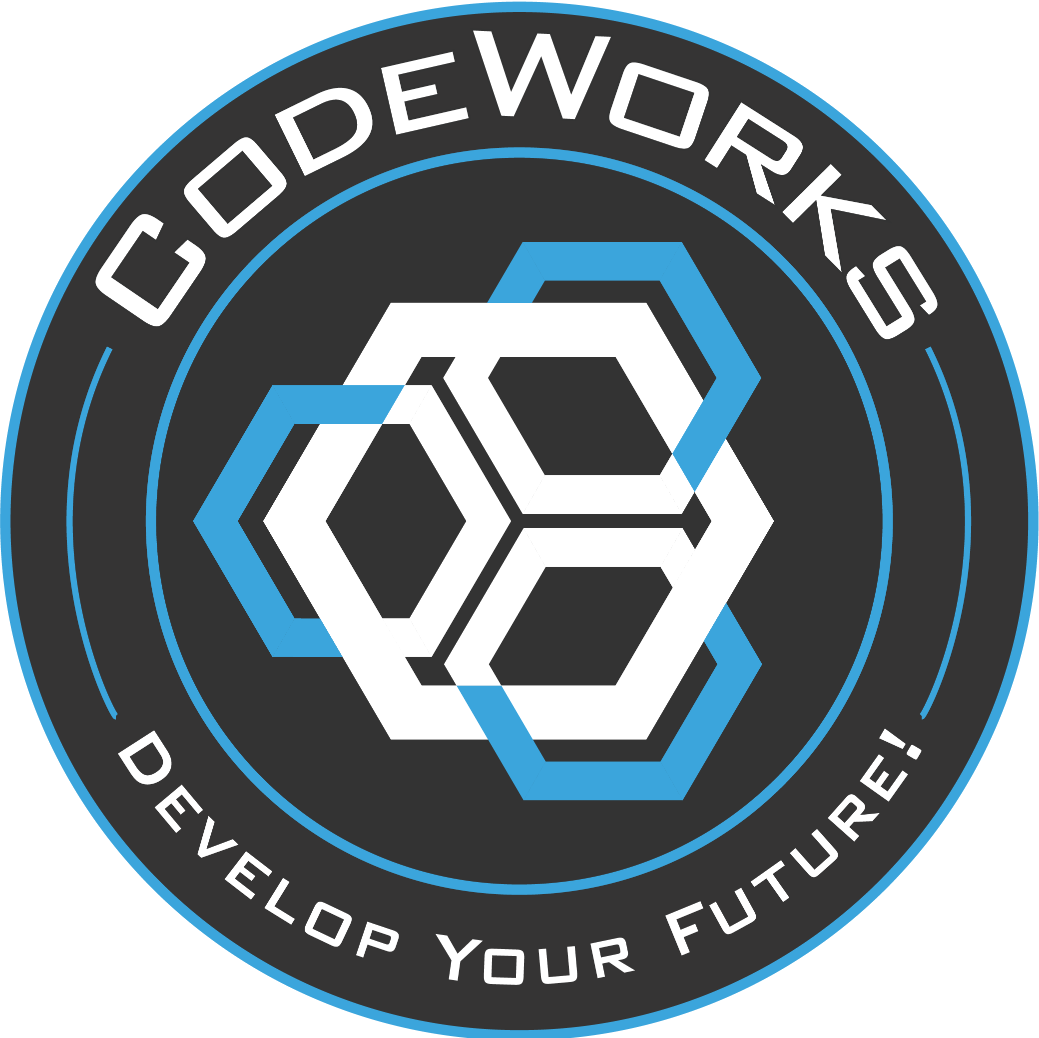 CodeWorks | Public APIs | Postman API Network