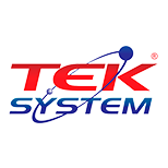 Tek-System Informática | Public APIs | Postman API Network