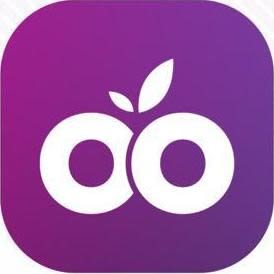 Postman | Postman API Network