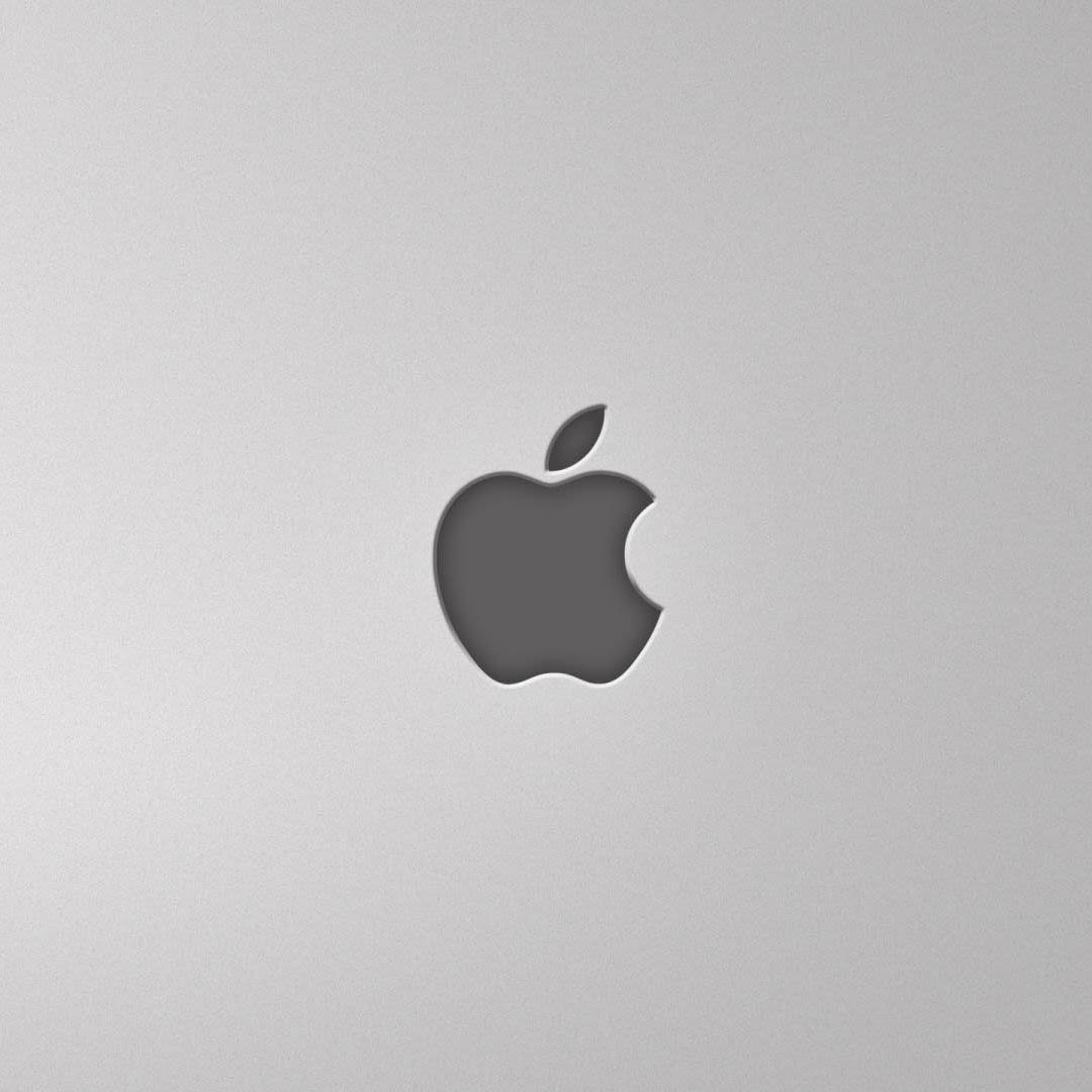 dotnet-developers | Postman API Network