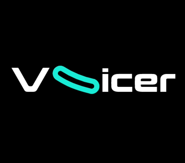 voicer-software-api | Postman API Network