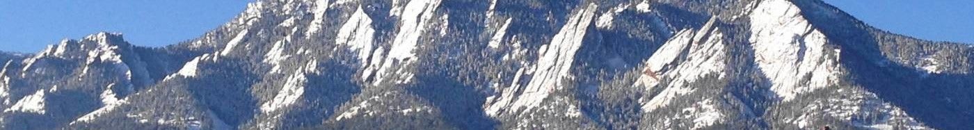 taylor-varoglu | Postman API Network