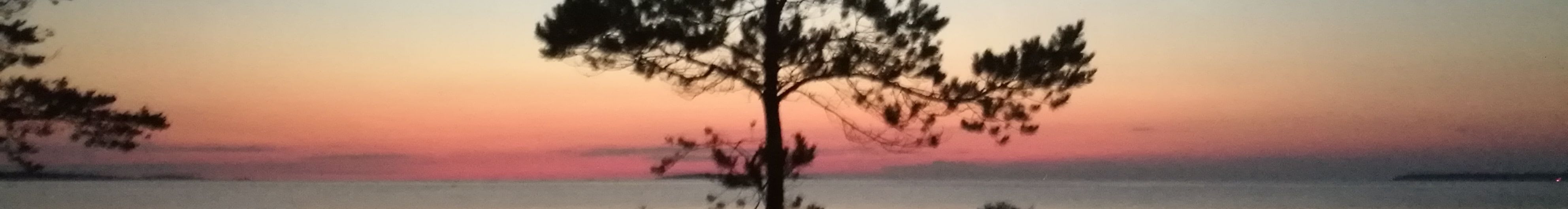 Sebastian Erkers | Postman API Network