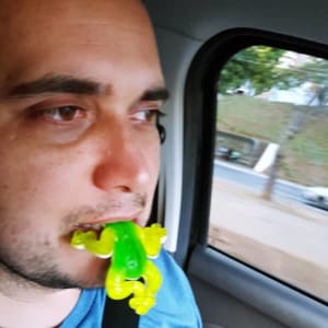 Dmitry Rocha | Postman API Network