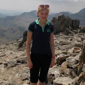 lissy93 | Public APIs | Postman API Network