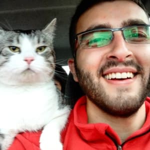 Bojanche | Public APIs | Postman API Network