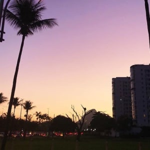 Projeto Cegonha | Postman API Network