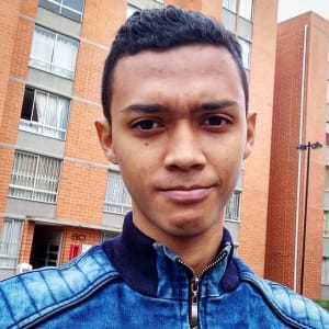 Ricardo Romo | Public APIs | Postman API Network