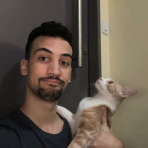 Pablo Morelli | Public APIs | Postman API Network