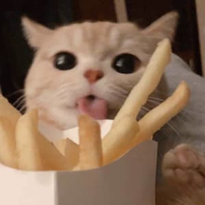 Afi | Postman API Network