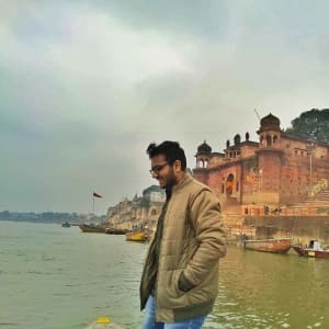 Bhushan Borole | Public APIs | Postman API Network