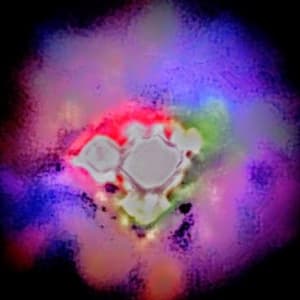 My Workspace | Postman API Network