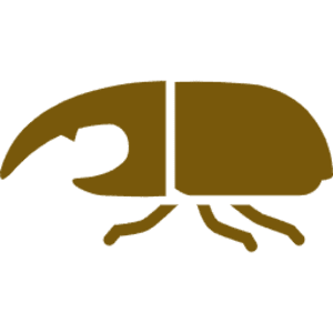 View All | Poly Management APIs | Postman API Network