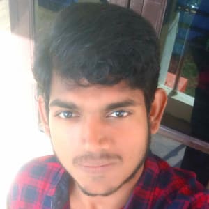 Gowtham Kumar V | Public APIs | Postman API Network