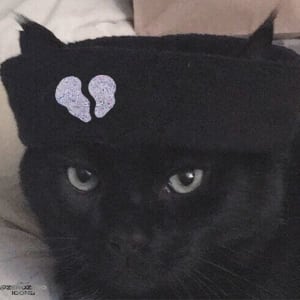 Pedro Augusto Costa Anjos | Postman API Network