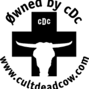 Stuart Gray | Postman API Network