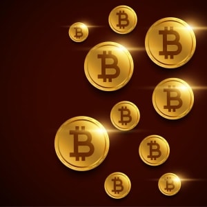 Bitcoin Evolution | Public APIs | Postman API Network