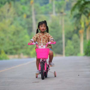 Apisit Chupayuk | Postman API Network