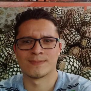 Jorge Alberto Rodriguez Flores | Postman API Network