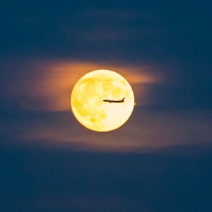 React native | Public APIs | Postman API Network