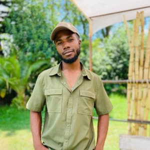 Nathan N Tapambwa | Postman API Network