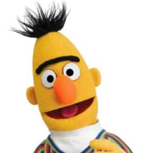 Developer Playground | Postman API Network