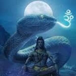 Sushant sahil raina | Public APIs | Postman API Network