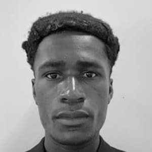 9. Query Asset | MuleSoft Platform APIs | Postman API Network