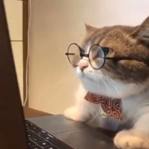 Attendance | Public | Postman API Network